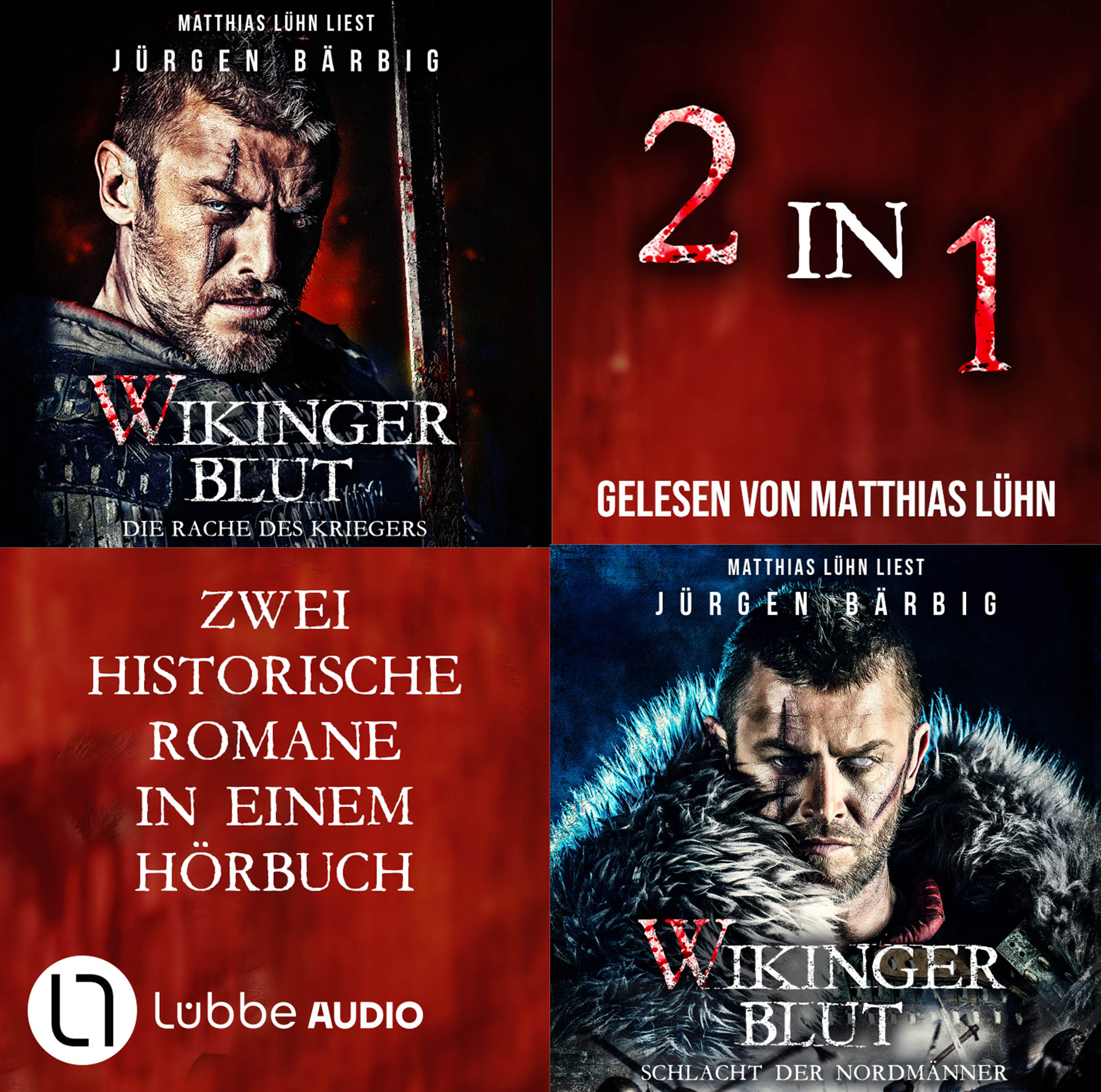 Wikingerblut - Sammelband | Hörbuch Lesung (MP3-Download) ungekürzt
